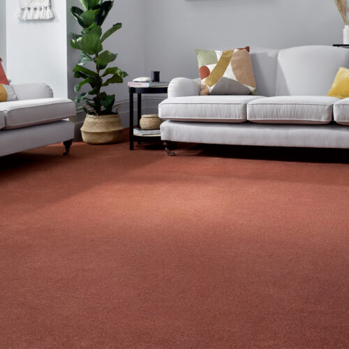 Victoria Carpet Supplier in Ipswich | Donnelly Watson